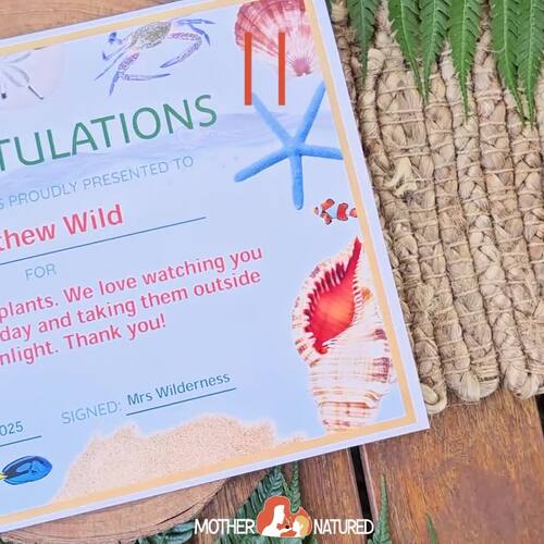 Editable Nature Certificates | Nature-themed Award | Forest School Award