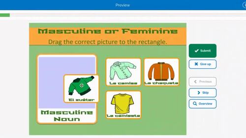 Spanish Nouns and Adjectives (Gender, Plural Form, Adjective Agreement ...
