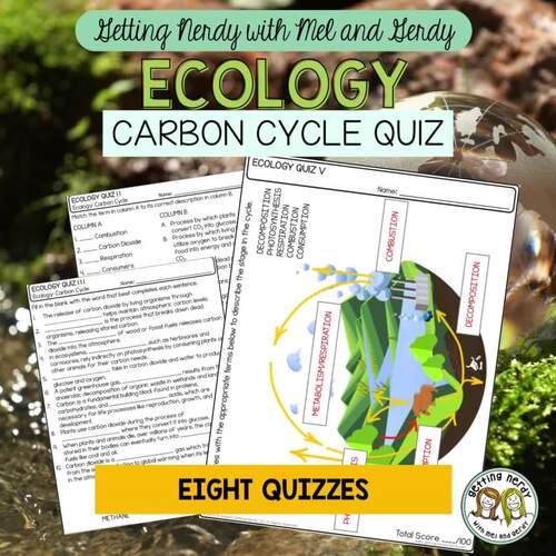 Ecology & Ecosystems Cycles in Nature: Carbon Cycle Quizzes - Assessments