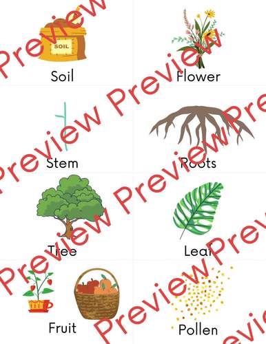 32 Garden/Plant Themed Write the Room Word Package by Spark Elementary