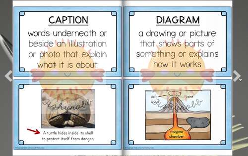 Informational Nonfiction TEXT FEATURES Worksheet Posters Anchor Chart ...