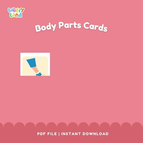 Body Parts Cards, Flashcard Body Part, Printable Montessori, Image ...