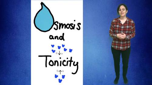 Osmosis/Tonicity Foldable, practice, key and make your own template for ...