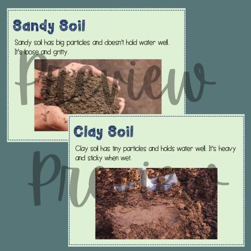 Soil - Different Types of Soil, Vocabulary, Power Point and Graphic ...