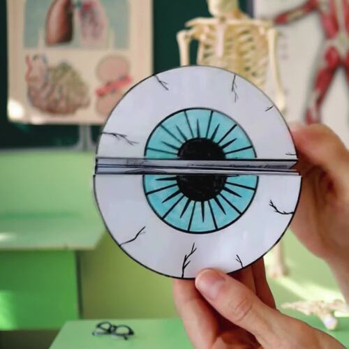 Human eye foldouts & parts of the eye activity for interactive science ...