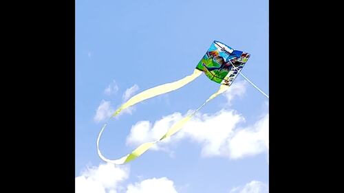 NGSS 3-LS4-1 Microraptor DIY Dinosaur Kite Project by WOW - World of ...
