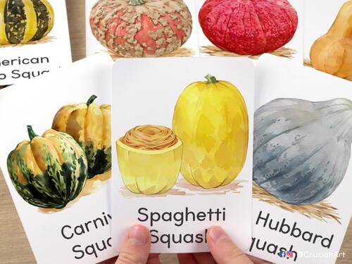 Pumpkins & Squash Flashcards: Printable Flash Cards for Homeschool ...