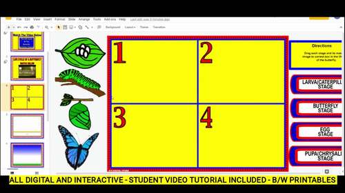 LIFE CYCLE OF A BUTTERFLY - ALL DIGITAL ACTIVITIES (b/w printables ...
