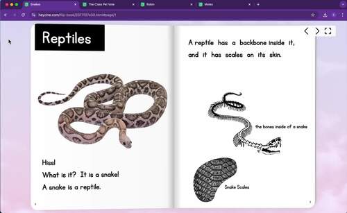 VCe, Closed, and Open Syllables: Decodable Readers Bundle by Decodable ...