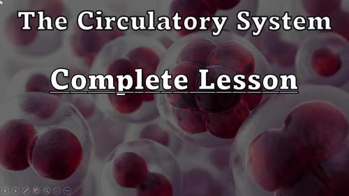 The Circulatory System and The Heart - Complete Lesson, PPT, Printables ...