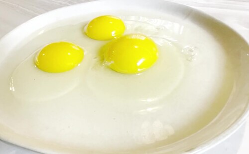 Egg Diversity Experiment- Martin Luther king Jr, Preschool ...