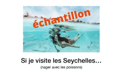 Bon voyage ! French Futur Simple activity through la francophonie
