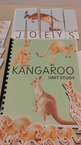 Kangaroo Unit Study | 61 Page Homeschool Nature Study | Classroom ...