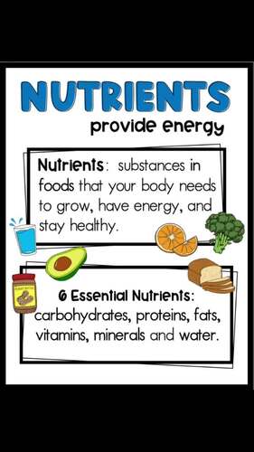Nutrition - Essential Nutrients - Teaching Posters - Bulletin Board Set ...