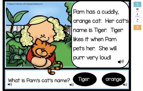 Kindergarten Reading Comprehension Boom Cards - Short Story with Questions