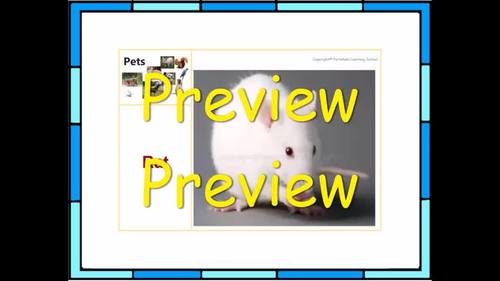 Pets Animals - Flash card Slides, Worksheets with Real Images. GOOGLESLIDES