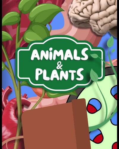 Interactive Notebook: Animal and Plant Systems by Mammoth Science