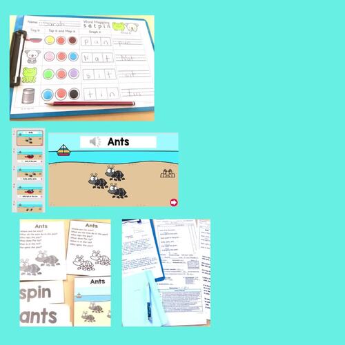 Science of Reading Literacy Centers SATPIN Decodable Reader 13 Phonics