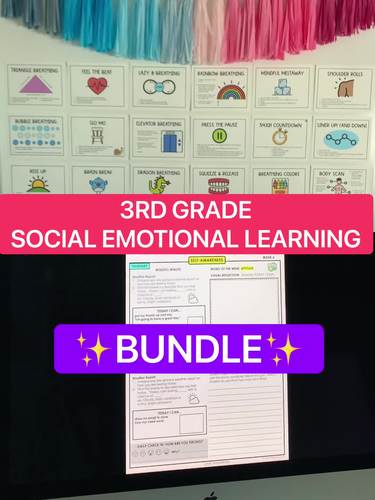 3RD GRADE SOCIAL EMOTIONAL LEARNING BUNDLE - JOURNAL AND POSTERS