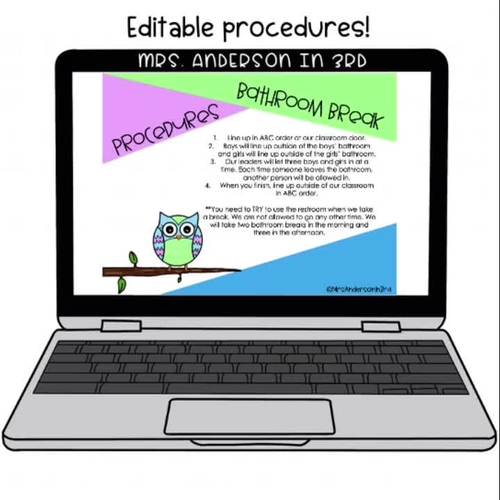 Routines and Procedures PowerPoint- Owl Theme by Mrs Anderson in 3rd