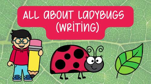 All About Ladybugs Writing Ladybug Unit PreK Kindergarten First TK UTK ...