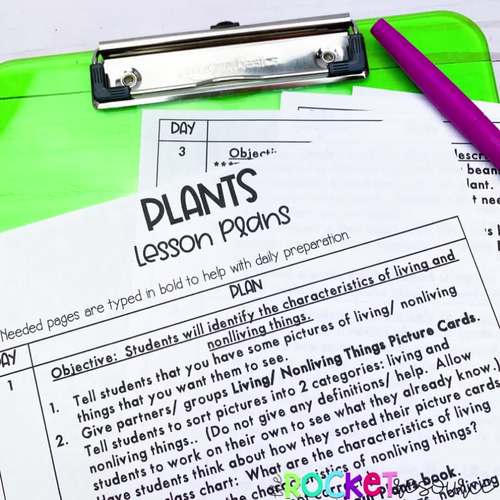 Plants Unit including parts of a plant, life cycle, photosynthesis ...