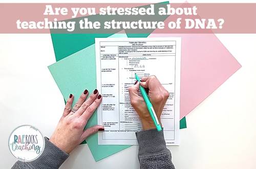 Structure of DNA with Labels by Rae Rocks Teaching | TPT