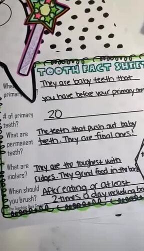 Non Fiction All About Teeth Report by The Teaching Diva Corner | TPT