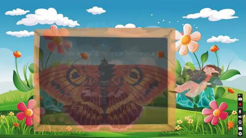 All About Moth, Moth Life Cycle PowerPoint Lesson Quiz for 1st 2nd 3rd 4th