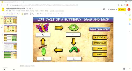 Life Cycle Of A Butterfly: Drag & Drop Worksheet:Google Slides. Powerpoint