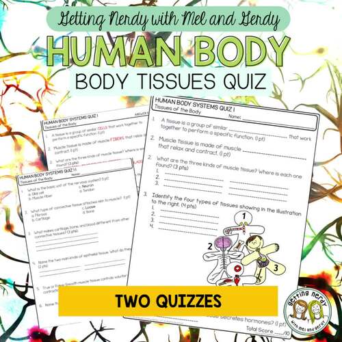 Types of Tissues | Human Body Systems | Structure & Function Quizzes ...