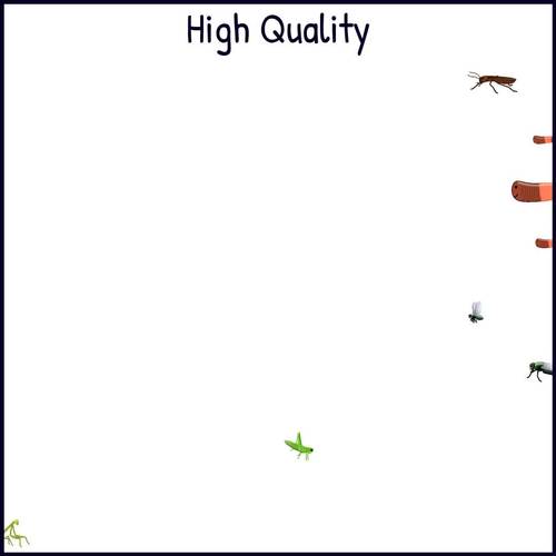 Insect GIFs Clipart - Animated Bugs Moving Across the Screen Clip Art ...