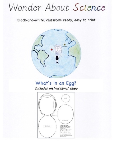 What is an Egg? by Wonder About Science with Mrs R | TPT