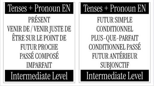 French Tenses and Pronouns Translations Exercise #4 - Intermediate Level
