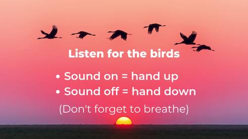 Sustained Attention or Brain Break Activity: BIRD BUNDLE (video format)