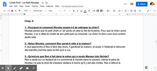 Le Petit Nicolas - Vidéo de la correction des questions du chapitre 6