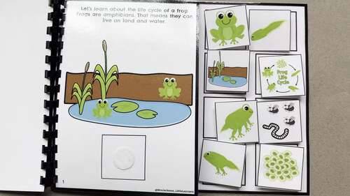 Life Cycle of a Frog Science Adapted Book by Mrs Jackson's Little Learners