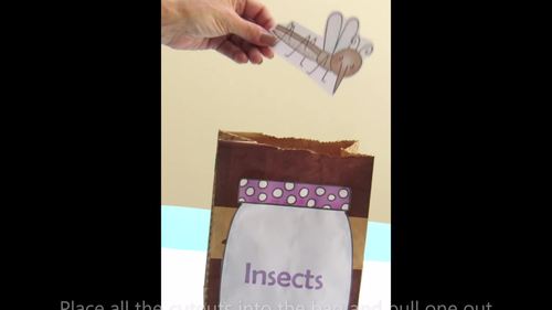 Insects or Bugs Unit for ESL BUNDLE | TPT