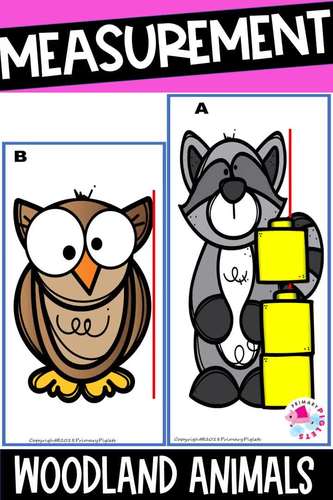 1st Grade Non-Standard Measurement Activities Measuring Length WOODLAND ...