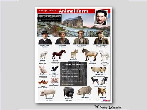 Animal Farm: Character Guide by Tirine Education | TPT