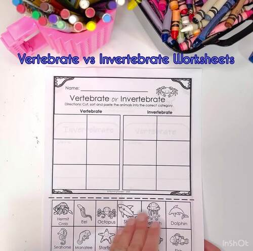 Invertebrate & Vertebrate Ocean Animals | Classify Ocean Animals Worksheets