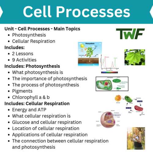 Cell Processes Unit | Photosynthesis, Cellular Respiration by Teach ...
