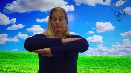 ASL Unit 6 Video 21 by Melissa Sexton | TPT