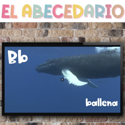 Video del Abecedario en Español Video of the Alphabet in Spanish