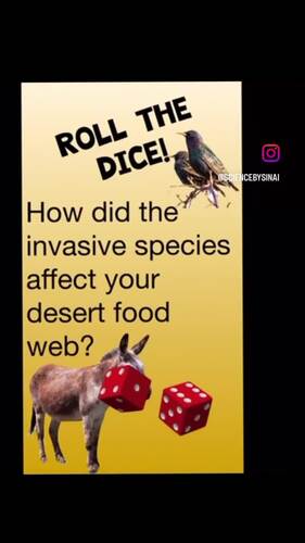 Invasive Species of the DESERT Food Web Dice Roll Activity MS-ESS3-3