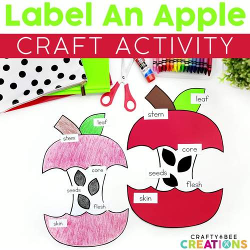 Apple Craft | Apple Labeling Activity | Parts of an Apple Activities | Fall