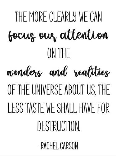 Science Quotes Farmhouse Style Posters (Set of 40) by Lori Murphy