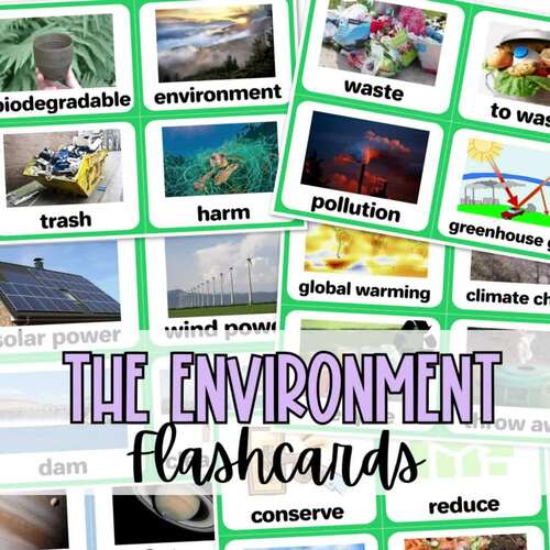 The Environment and Recycling Vocabulary Flashcards Real Pictures