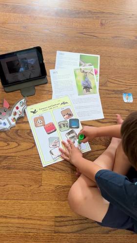 Bats Bundle for Speech Therapy Craft, Worksheet, & Boom Cards ...
