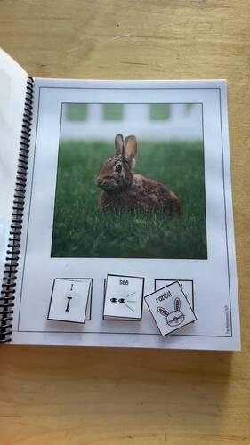 I SEE SPRING Core Word AAC Adapted Book & Letter Formation Special ...